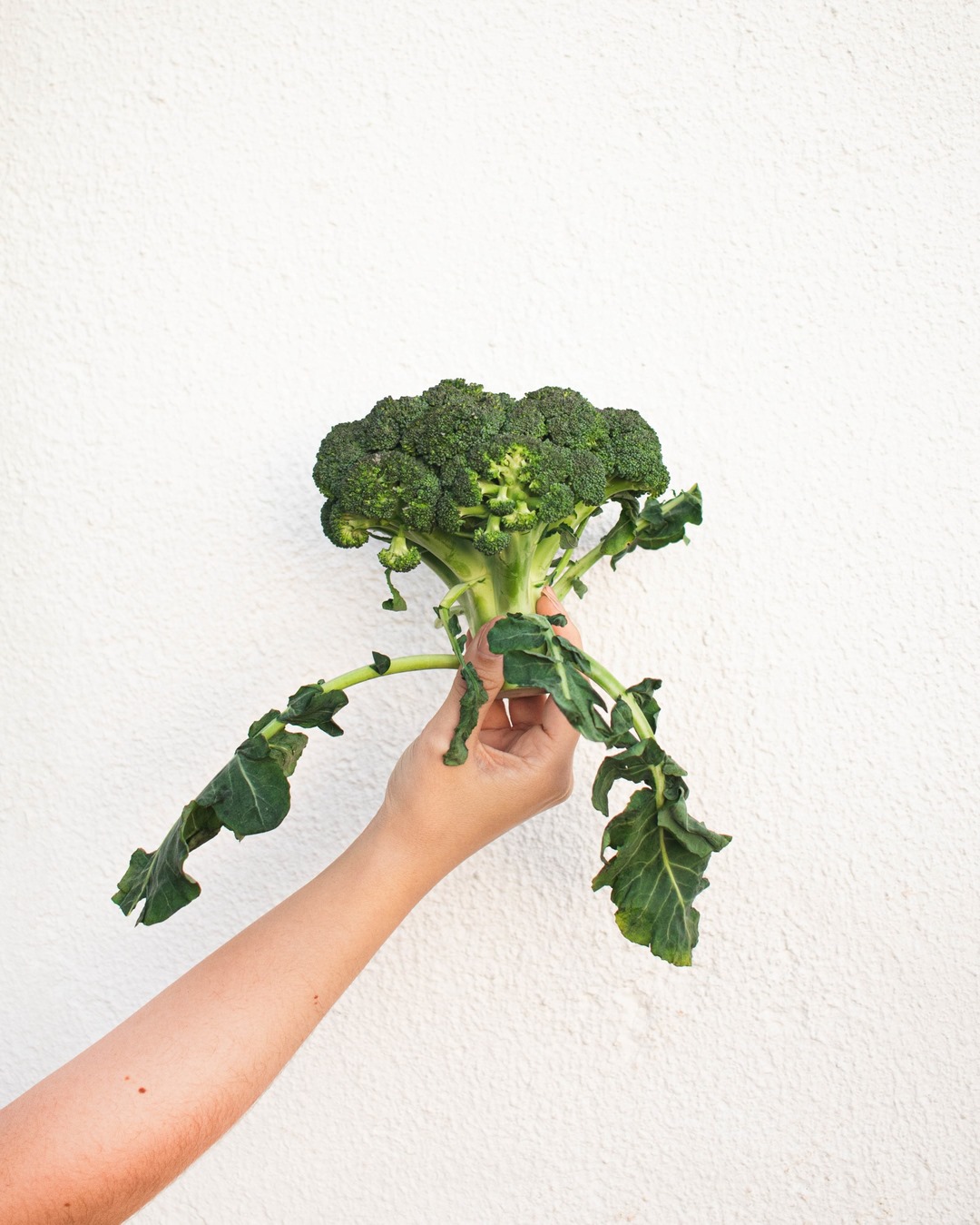 Equal Food @ The Hood - Peggada