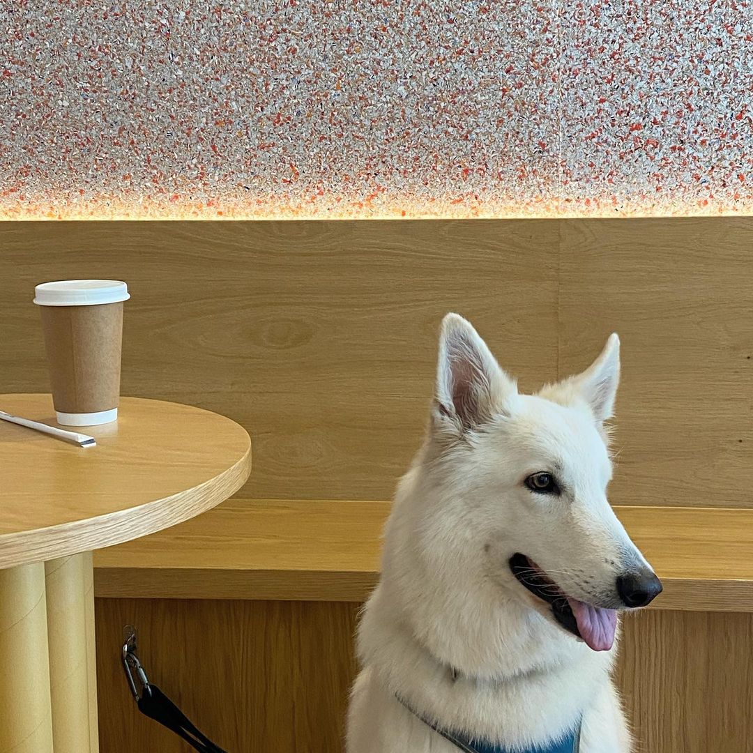 Early BKK. Bangkok has a coffee shop made out of neighborhood garbage ...