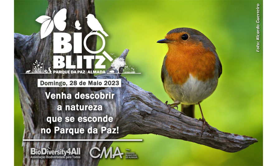 BioBlitz Parque da Paz 2023 - Almada - Peggada