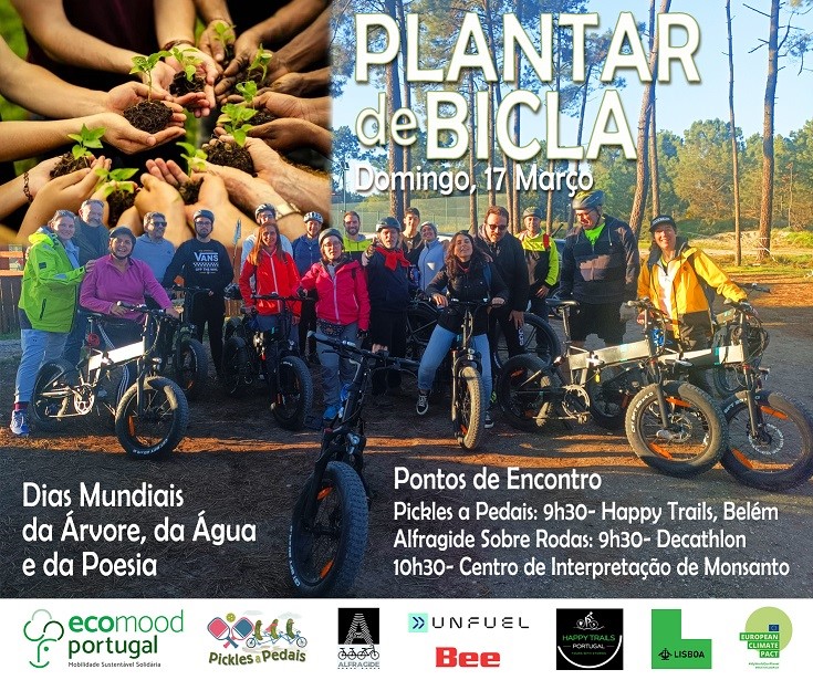Plantar de Bicla - Peggada