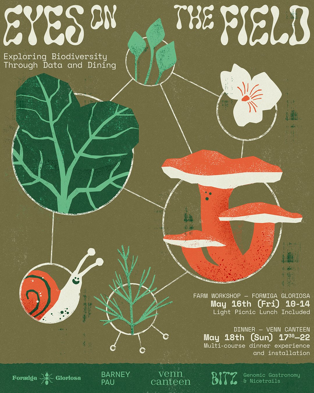 Eyes On The Field - Peggada